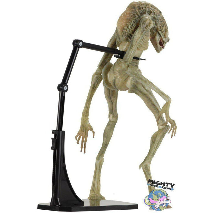 Alien Resurrection: Deluxe Newborn